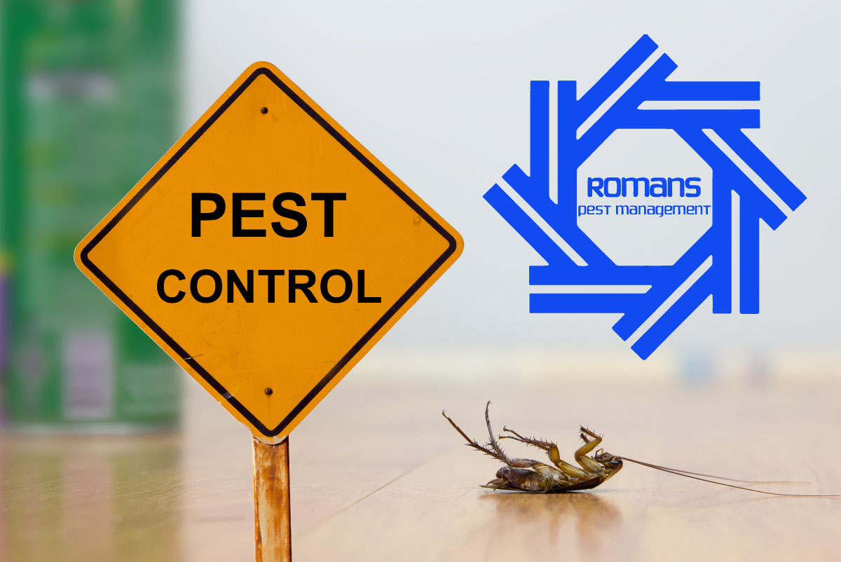 When it Comes to Pest Control, Prevention is Best