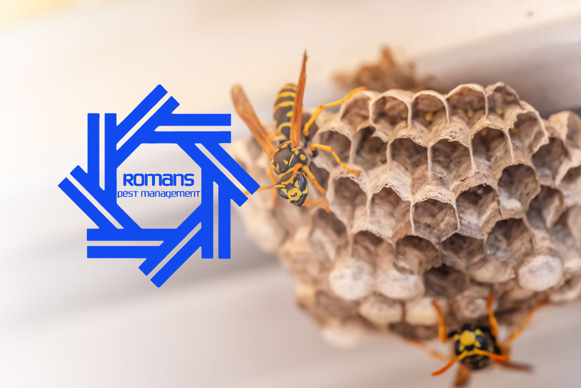 Wasp Control - Romans Pest Management LLC