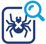 Spider Control - Romans Pest Management LLC