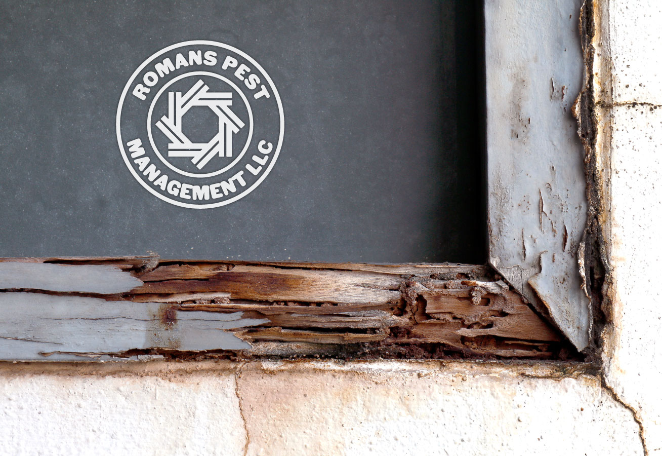 Why January Is the Perfect Time for Termite Prevention in the ...